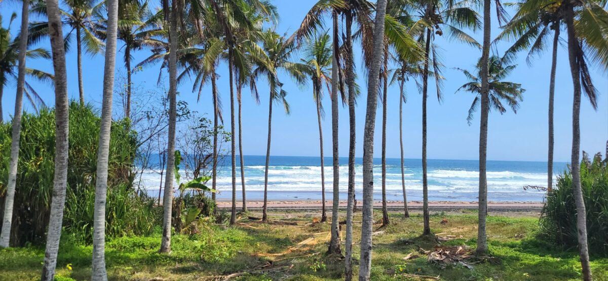 Martijn's reis naar Java & Bali - Uniglobe Westland Group Travel