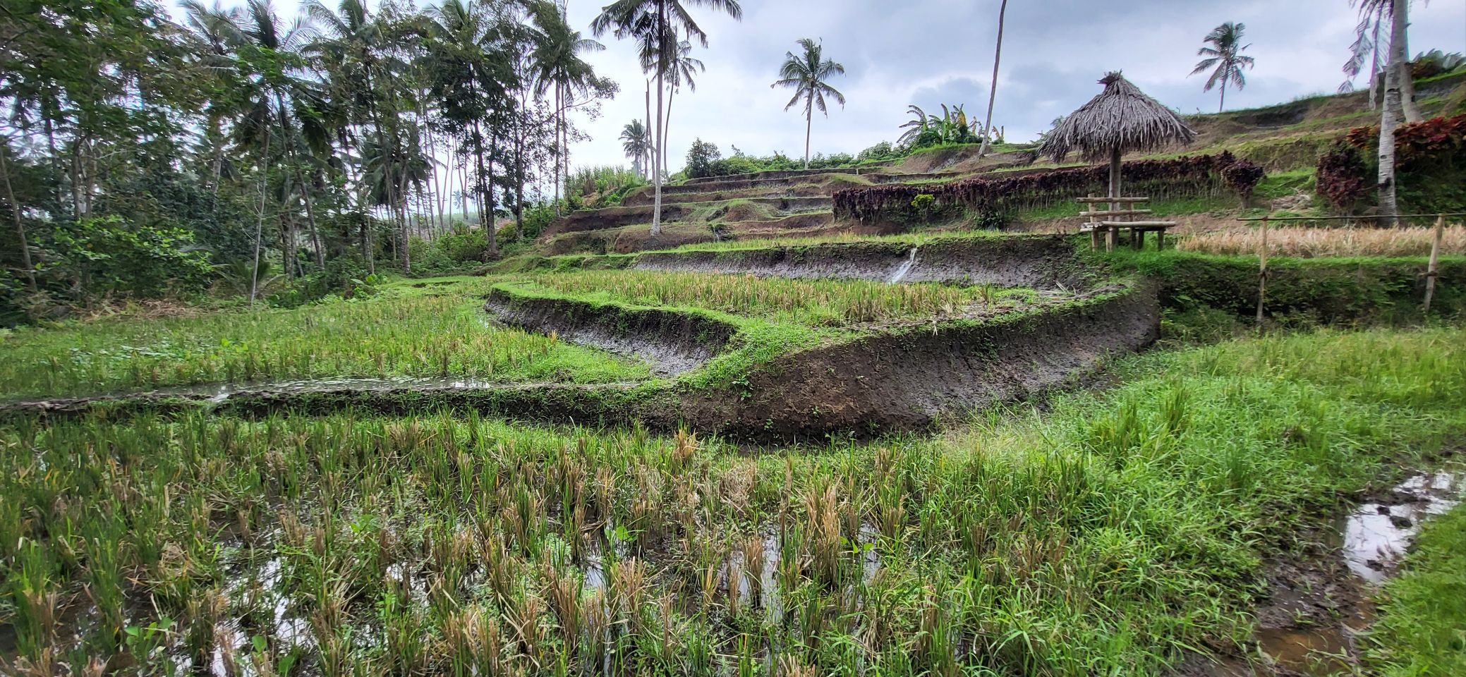 Martijn's reis naar Java & Bali - Uniglobe Westland Group Travel